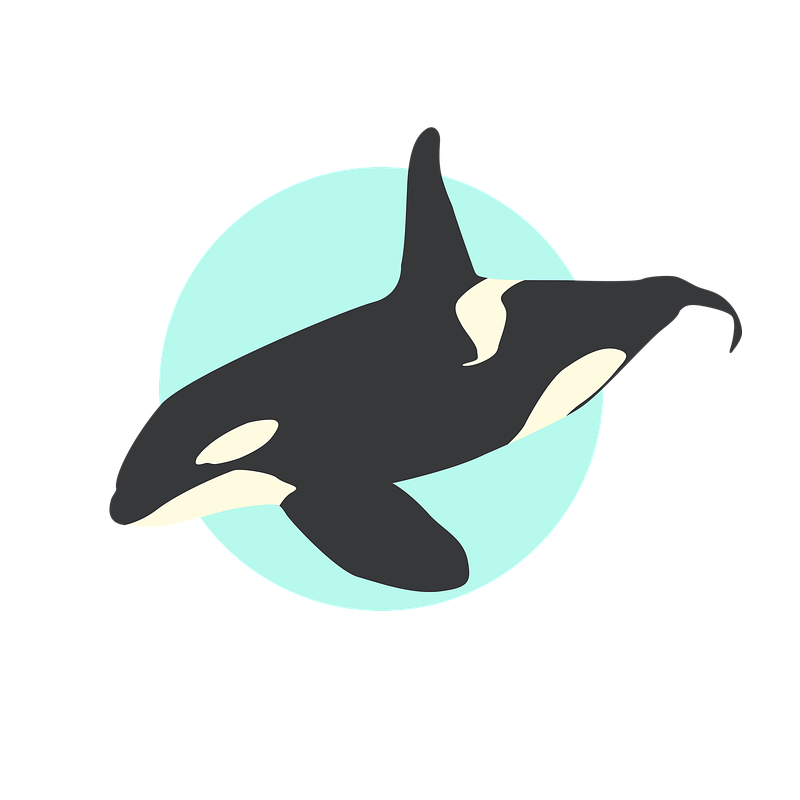 ella_code_j (이정교) / 작성글 - velog