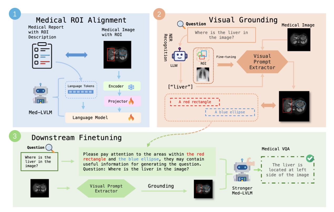 [논문리뷰] MedVP: Guiding Medical Vision-Language Models with Explicit ...