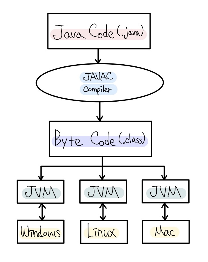 Java 입문 11 프로그래밍 언어 And 자바 기초