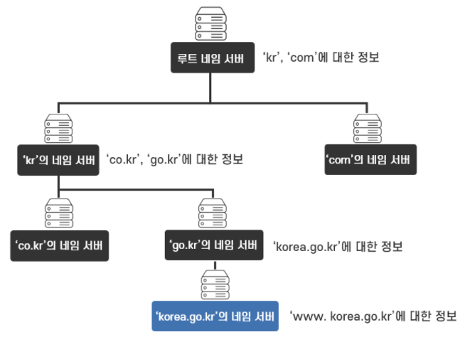 DNS와 작동 원리