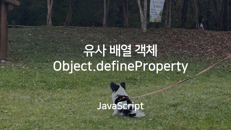 유사 배열 객체를 보다보니 알게된 Object.defineProperty