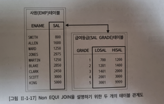 SQLD 2-1. SQL 기본