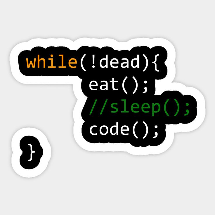 Front End Html And Css 공부하며 배운 것들