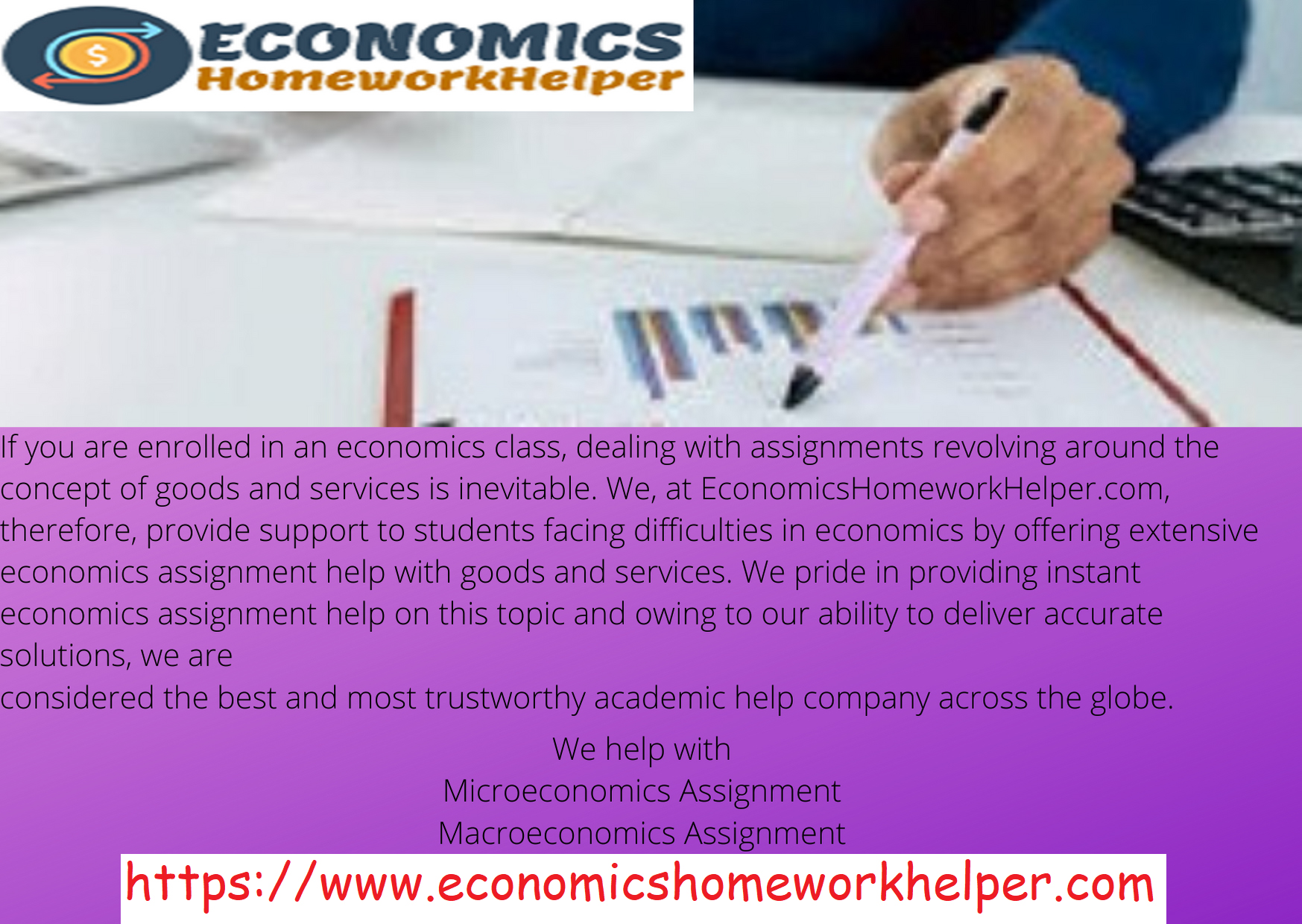 The Best Online Economics Assignment Help Experts