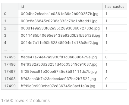 [Kaggle] Aerial Cactus Identification