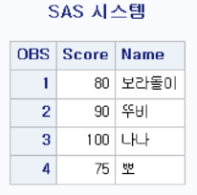 [SAS] SAS 프로그래밍 기본