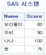 [SAS] SAS 프로그래밍 기본