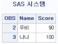 [SAS] SAS 프로그래밍 기본