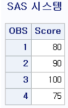 [SAS] SAS 프로그래밍 기본