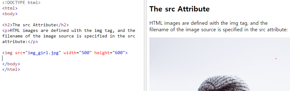 HTML (5) Attributes 속성 (+Reference)