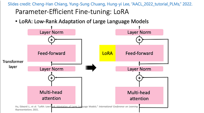 LoRa Fine tuning