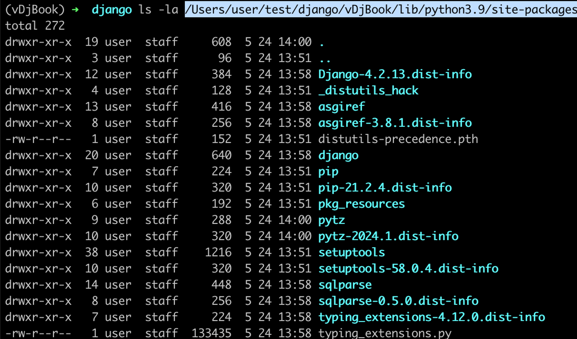 Django - venv (virtualenv)