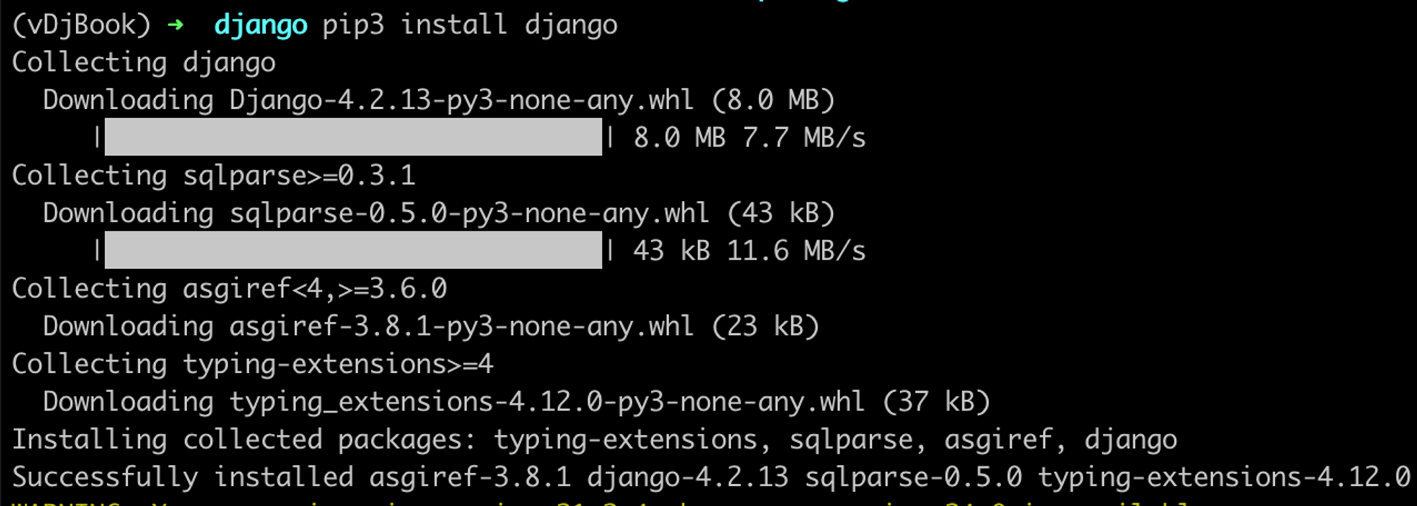 Django - venv (virtualenv)
