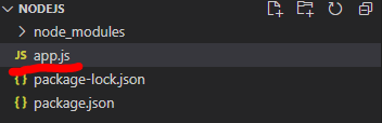 NodeJs + Express 로 웹서버 구축하기