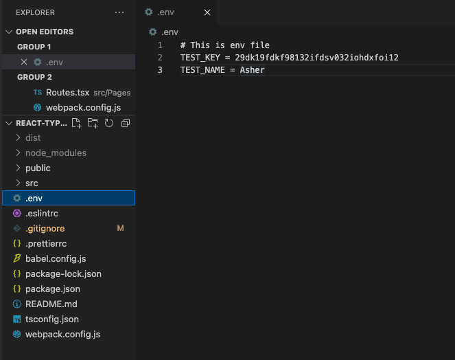 React & Typescript Setup (without CRA) - 6 (환경변수 설정)