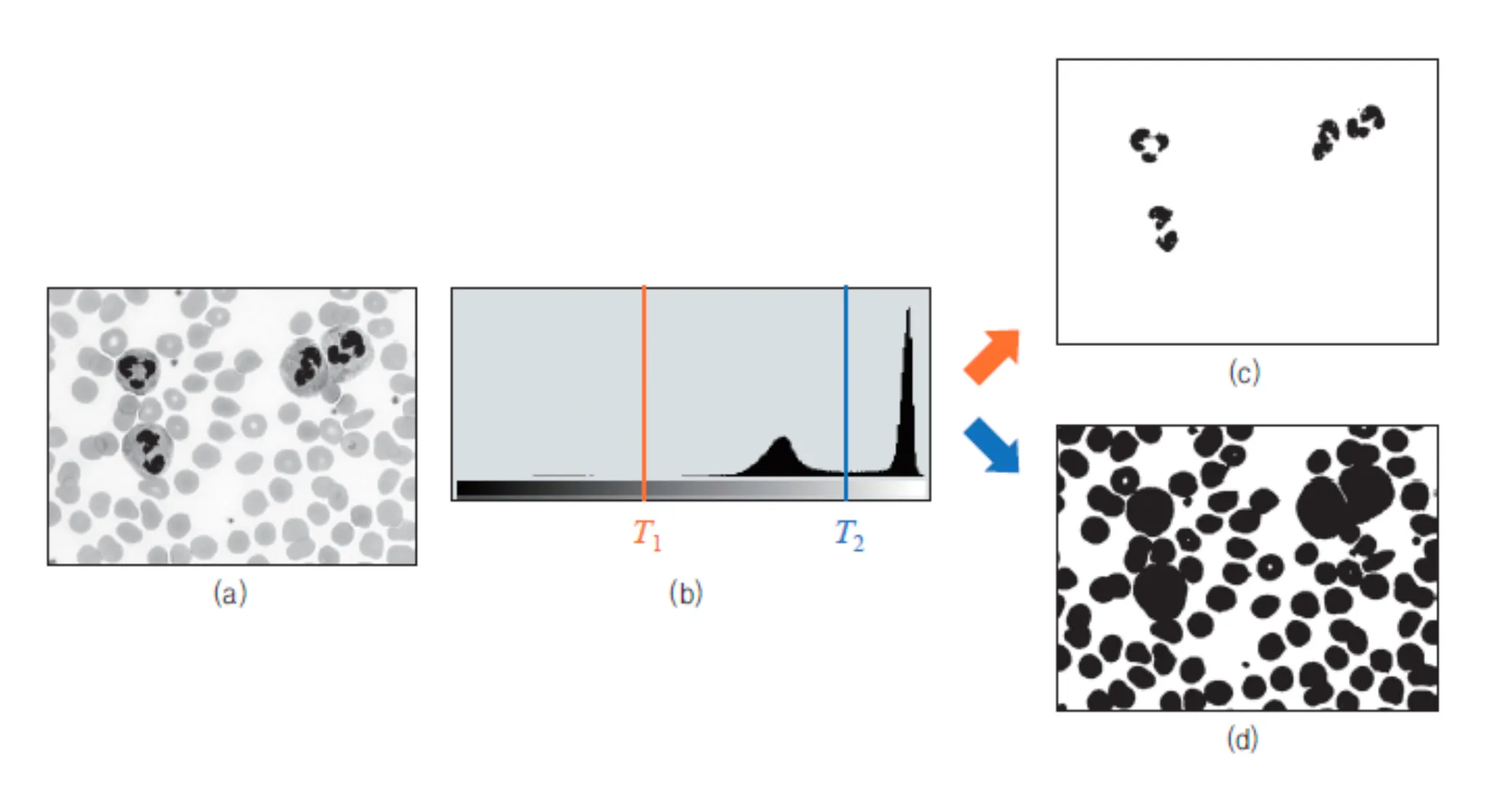 [OpenCV] Chapter11: Binarization and Morphology (이진화와 모폴로지)