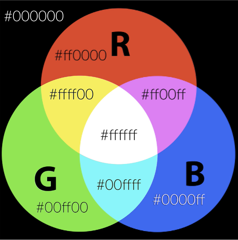 [Web Design] CSS 기초 다지기