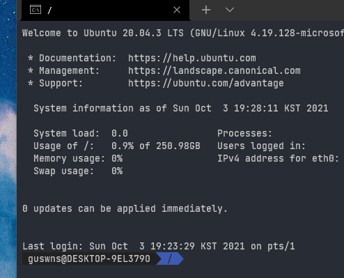 wsl2 에서 systemctl 사용하기