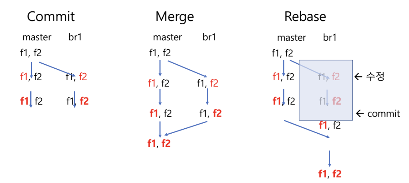 Git & Github Git & Github