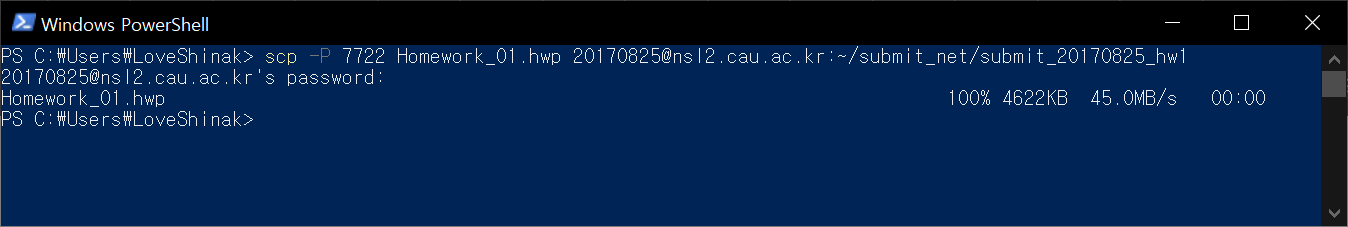 네트워크 응용 설계 SSL/SCP