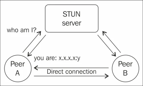 WebRTC 개념 정리 : ICE, NAT, STUN 서버, TURN 서버
