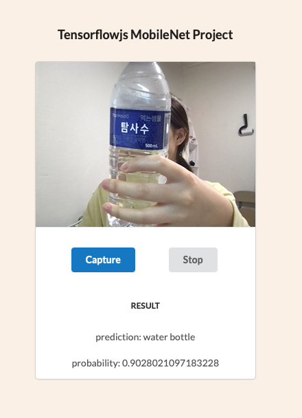 Tensorflow.js(mobilenet) 를 이용하여 Webcam으로 Image Classifer App 만들기