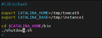 Tomcat - Clustering: Cluster Setup (1)