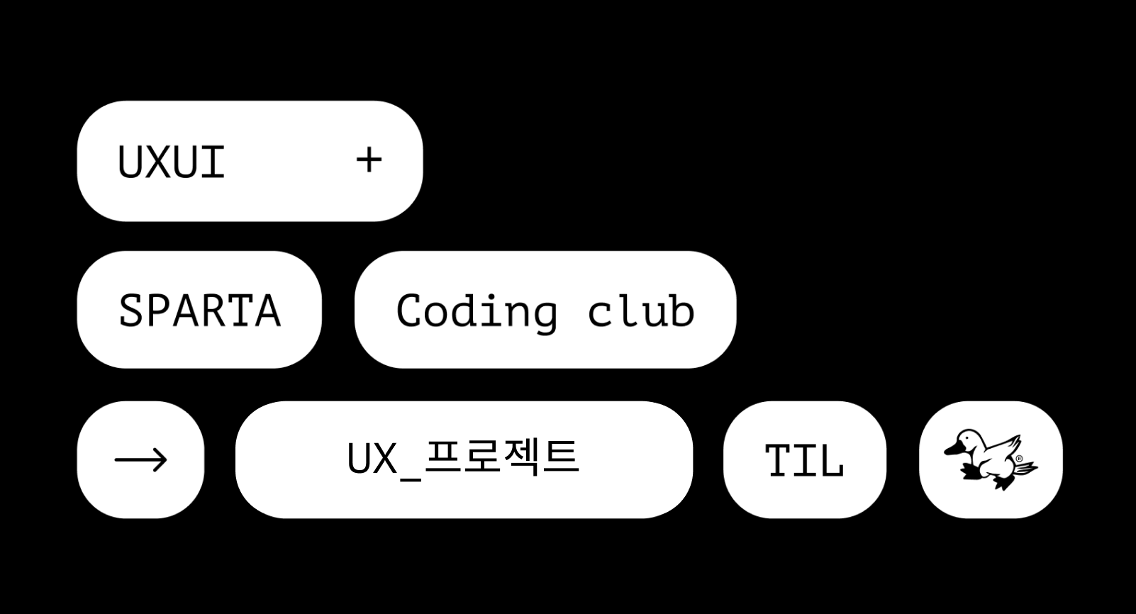 UXUI 부트캠프 43일차