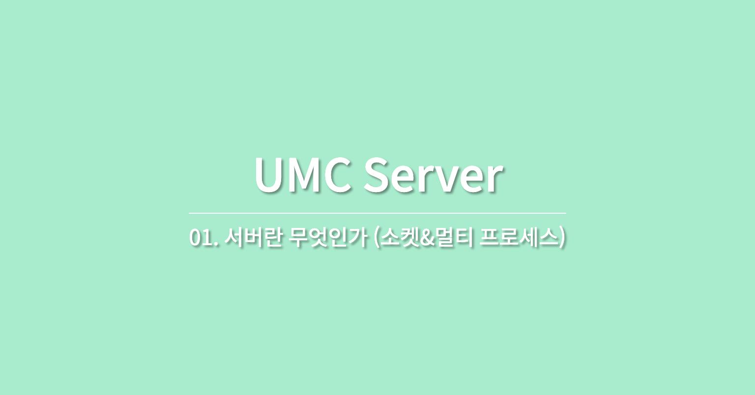 [UMC Server] Chapter 01. 서버란 무엇인가(소켓&멀티 프로세스)