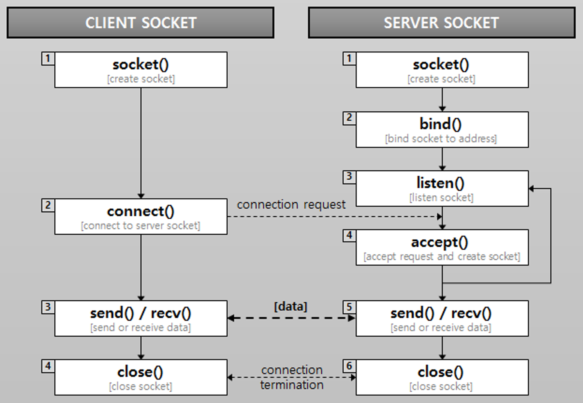 Socket, js에서 socket 사용