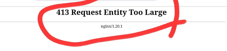 [Nginx] 413 Request Entity Too Large