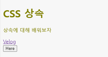 CSS 상속, computed style