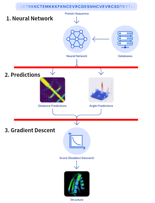 AlphaFold : 단백질의 3D 구조를 AI가 예측한다 (한글)