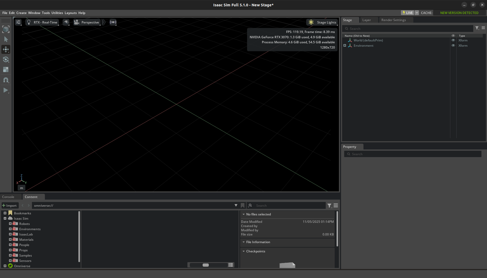 ISAAC Sim Install Test