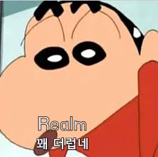 [TCA] SwiftUI 프로젝트 기록 (3) - TCA 와 Realm?