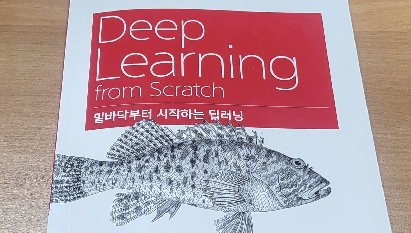 Numpy와 Matplotlib 살펴보기 
