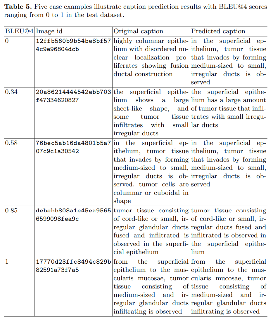 [Paper Review] PathM3: A Multimodal Multi-Task Multiple Instance ...