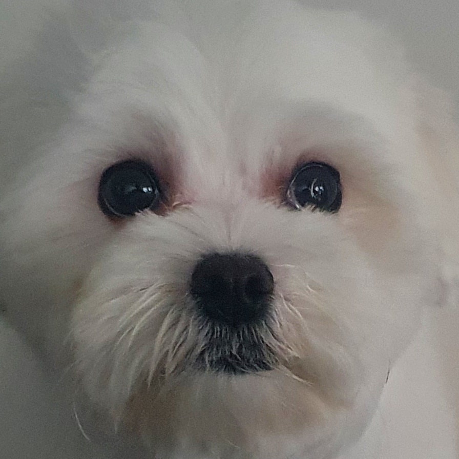 Spring Boot Rest API 복습4