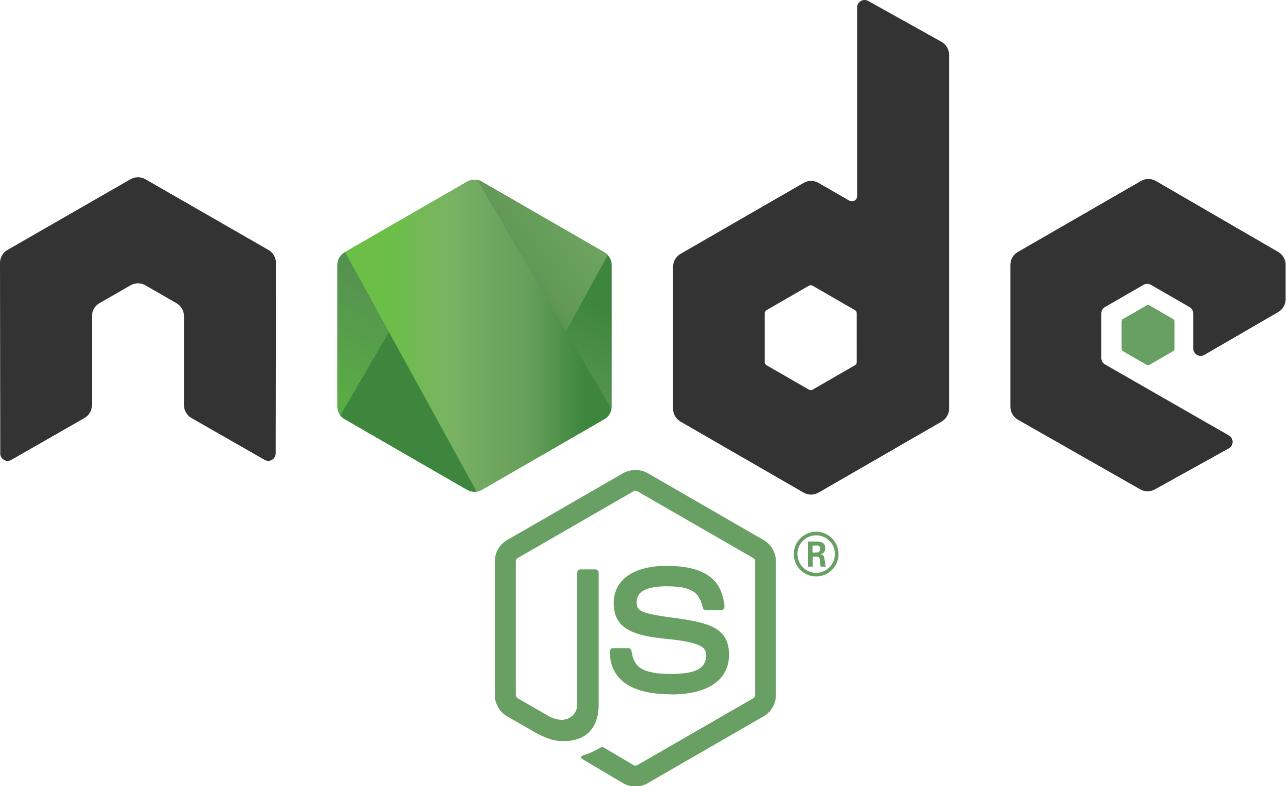 NodeJS Package Manager