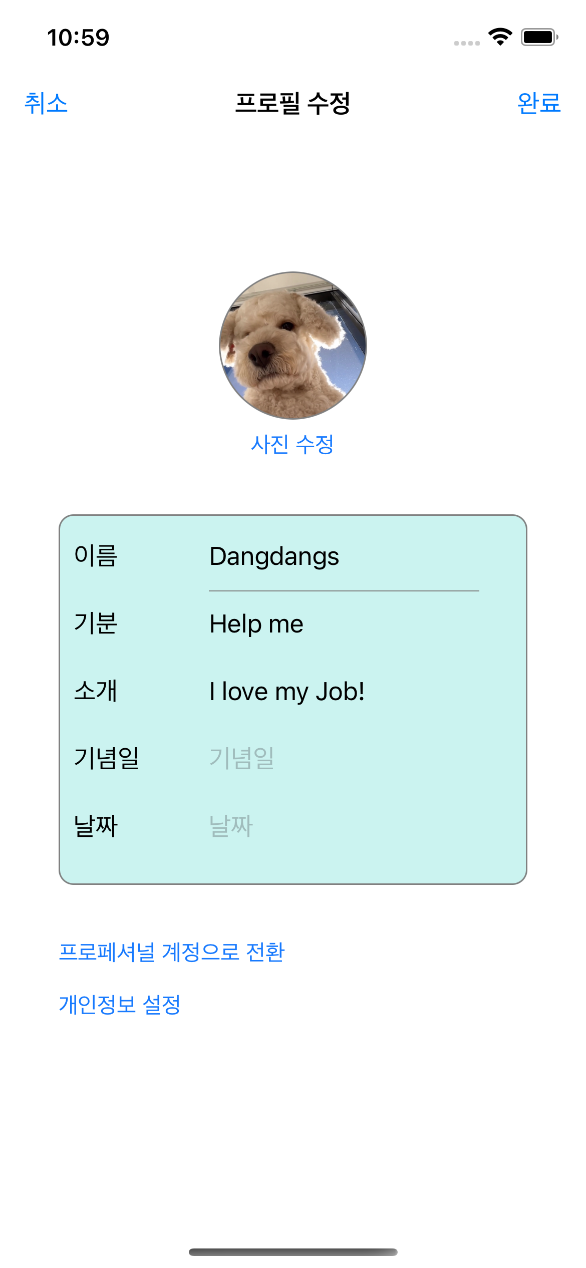 iOS | bottom border을 주고싶었다.(layer frame)