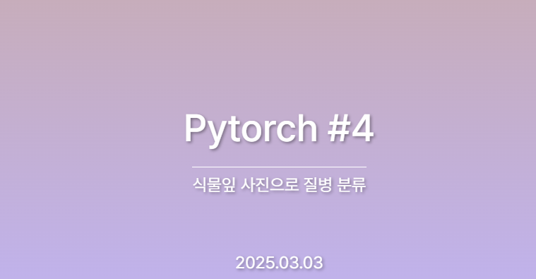 Pytorch #4