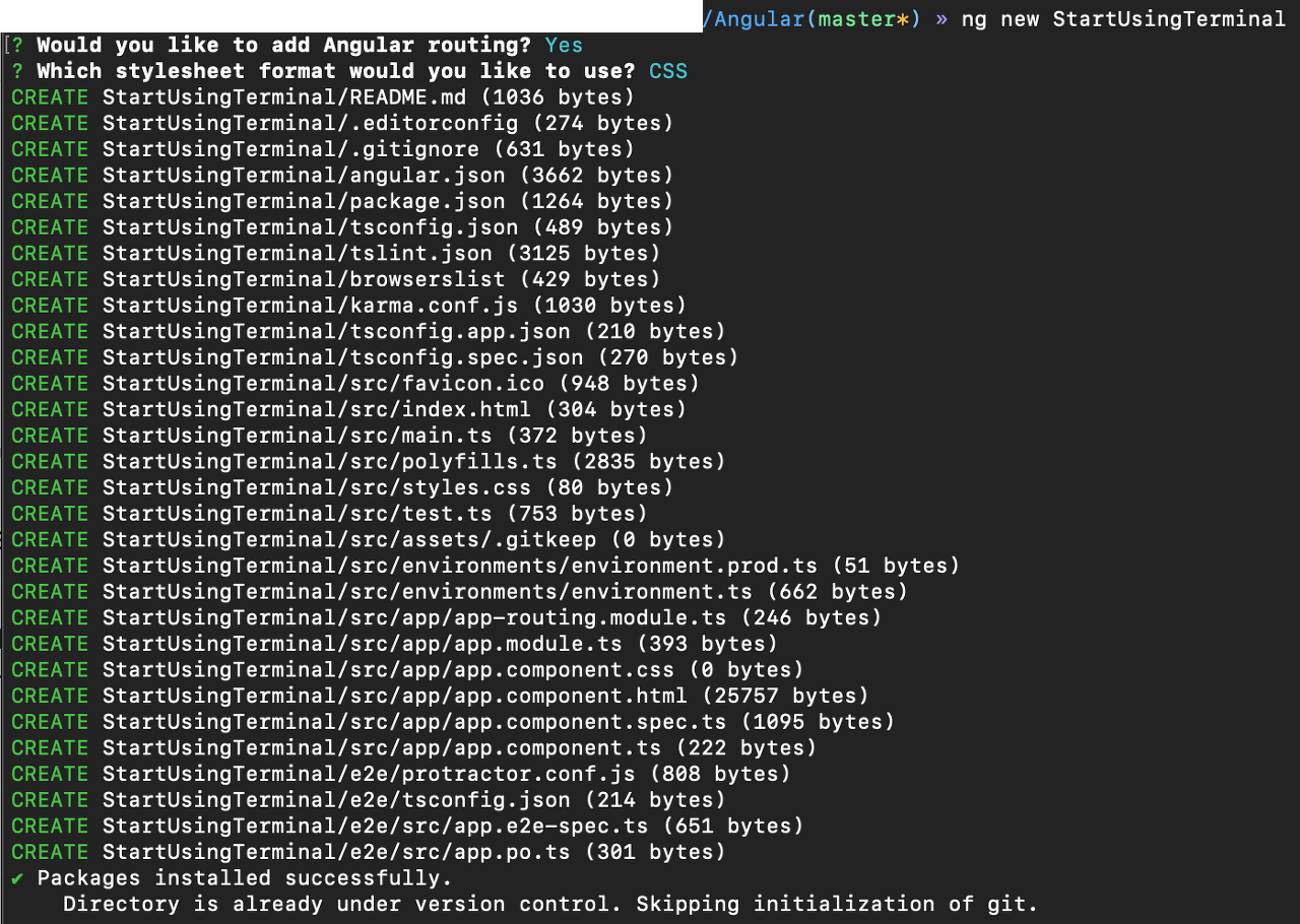 Angular 개발환경 구축 및 앱 생성 시작하기 Terminal Webstorm