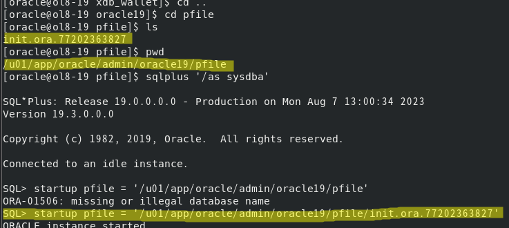 Linux, OracleDB 셋팅(init파일 문제해결)