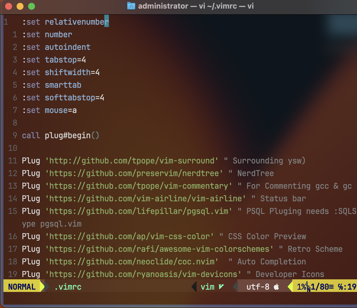 개발환경 세팅(2) - Vim Editor 꾸미기