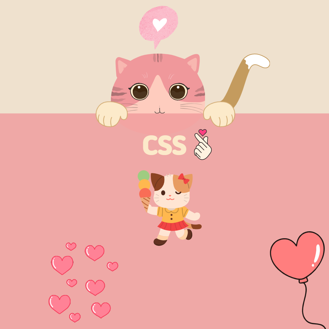 TIL CSS box Model 