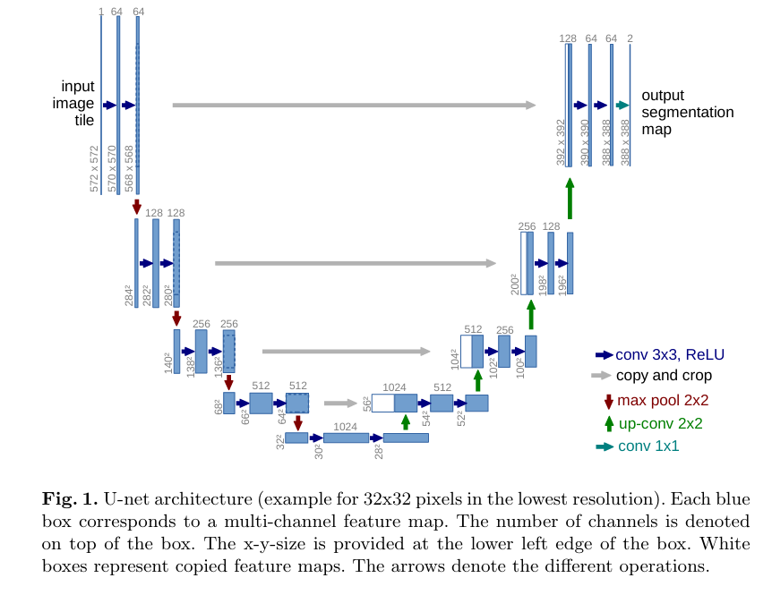 U-Net: Convolutional Networks for Biomedical Image Segmentation