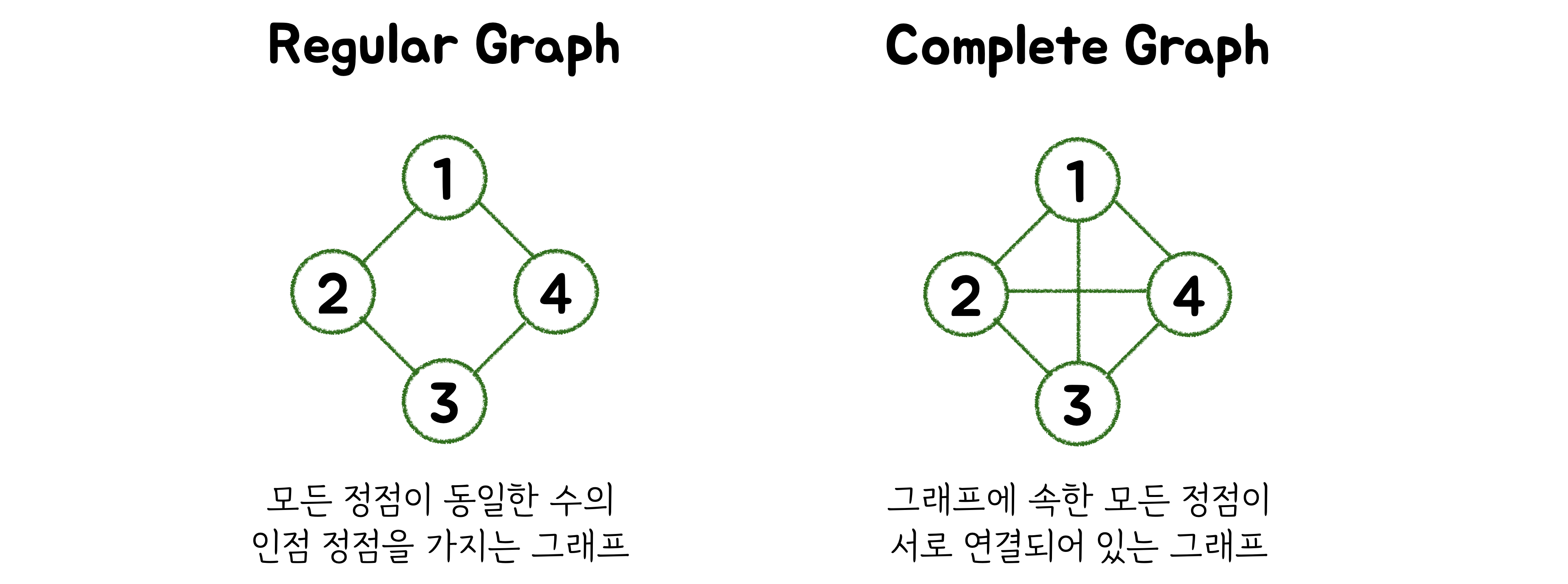  Graph Data Structure 
