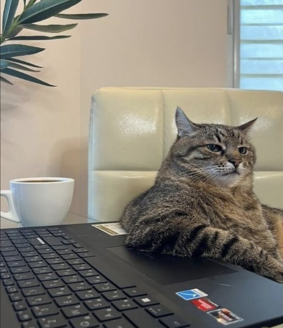 Spring Security - JWT