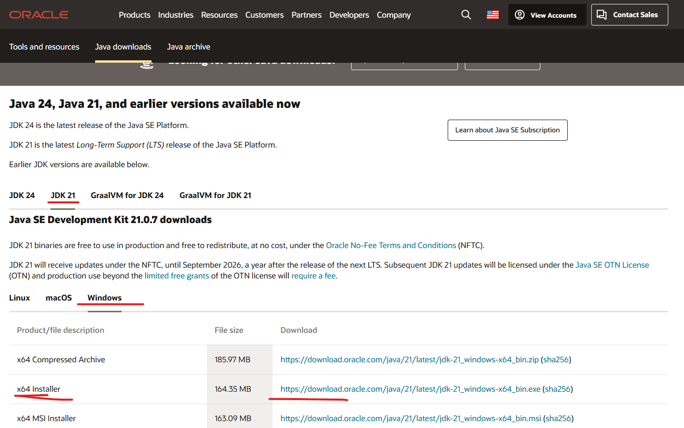 [Java] Salesforce 개발을 위한 JDK 설치 및 환경변수 설정