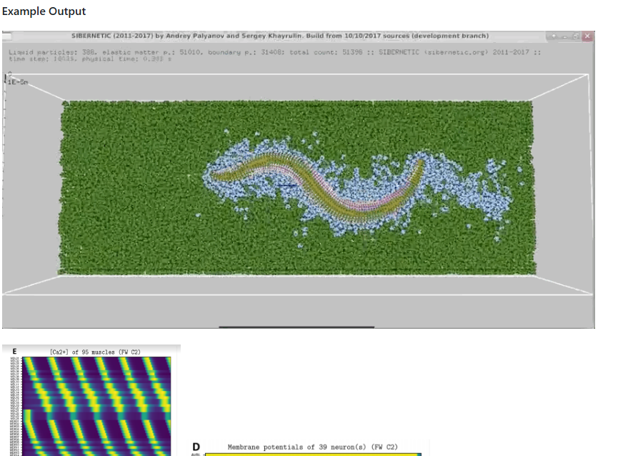 인간의 뇌 시뮬레이션: OpenWorm 프로젝트에서 딥러닝, 그리고 인간 의식의 재현까지